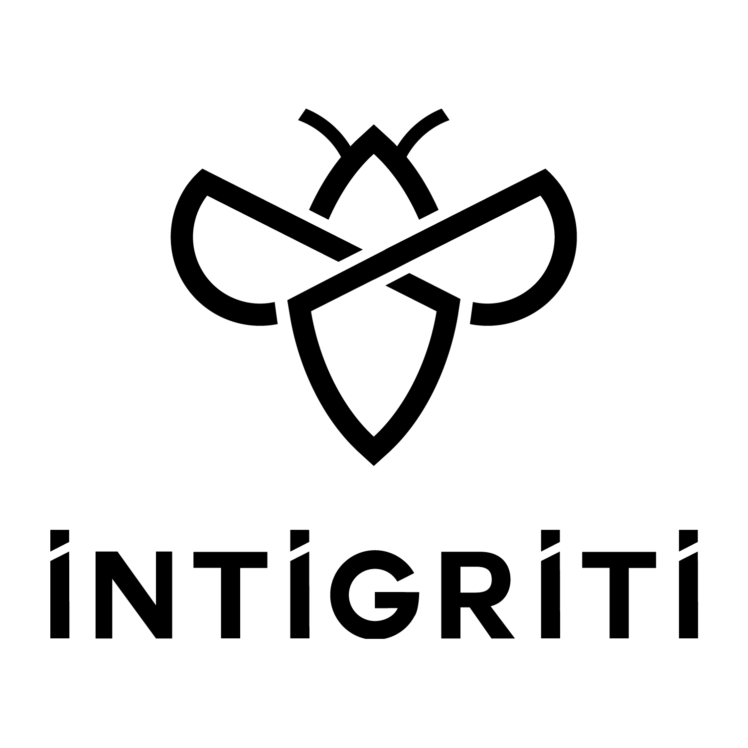 Practical Bug Bounty with Intigriti - TCM Security